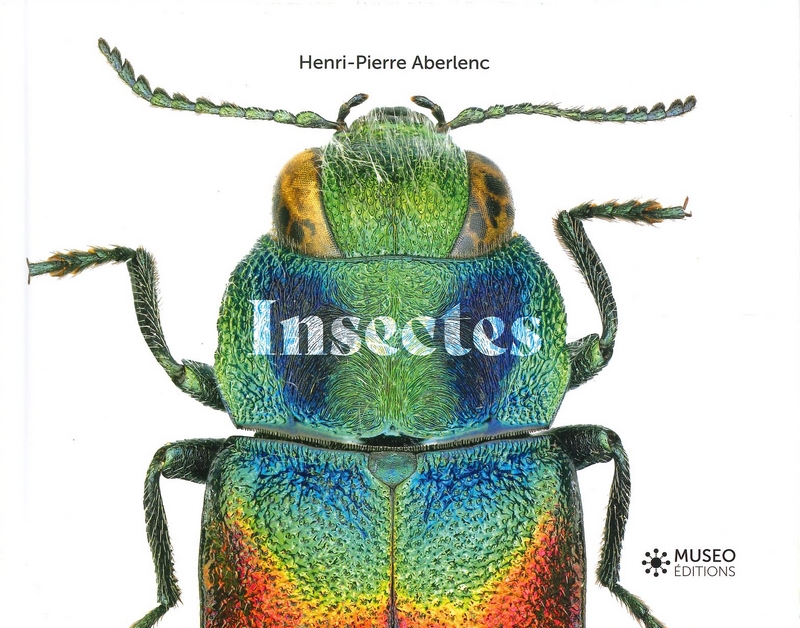 Insectes | Boutique & Librairie Écologique Nature & Progrès
