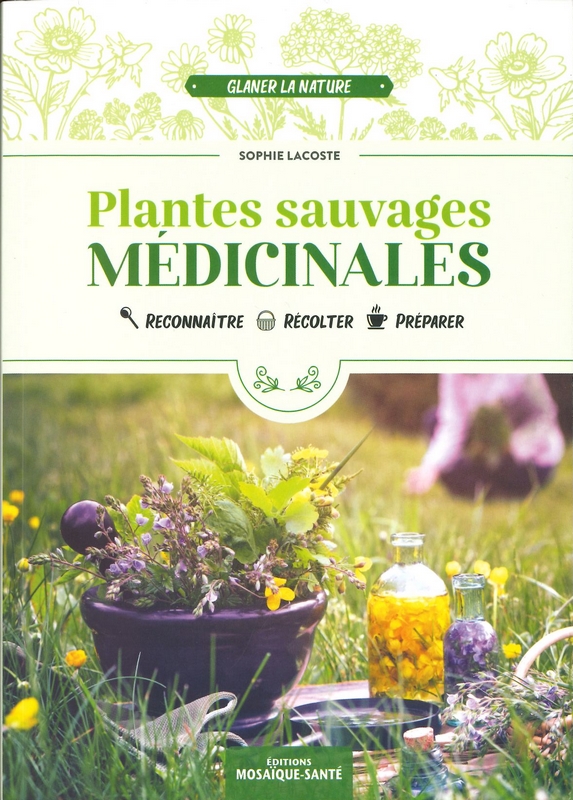 Plantes sauvages médicinales | Boutique Nature & Progrès
